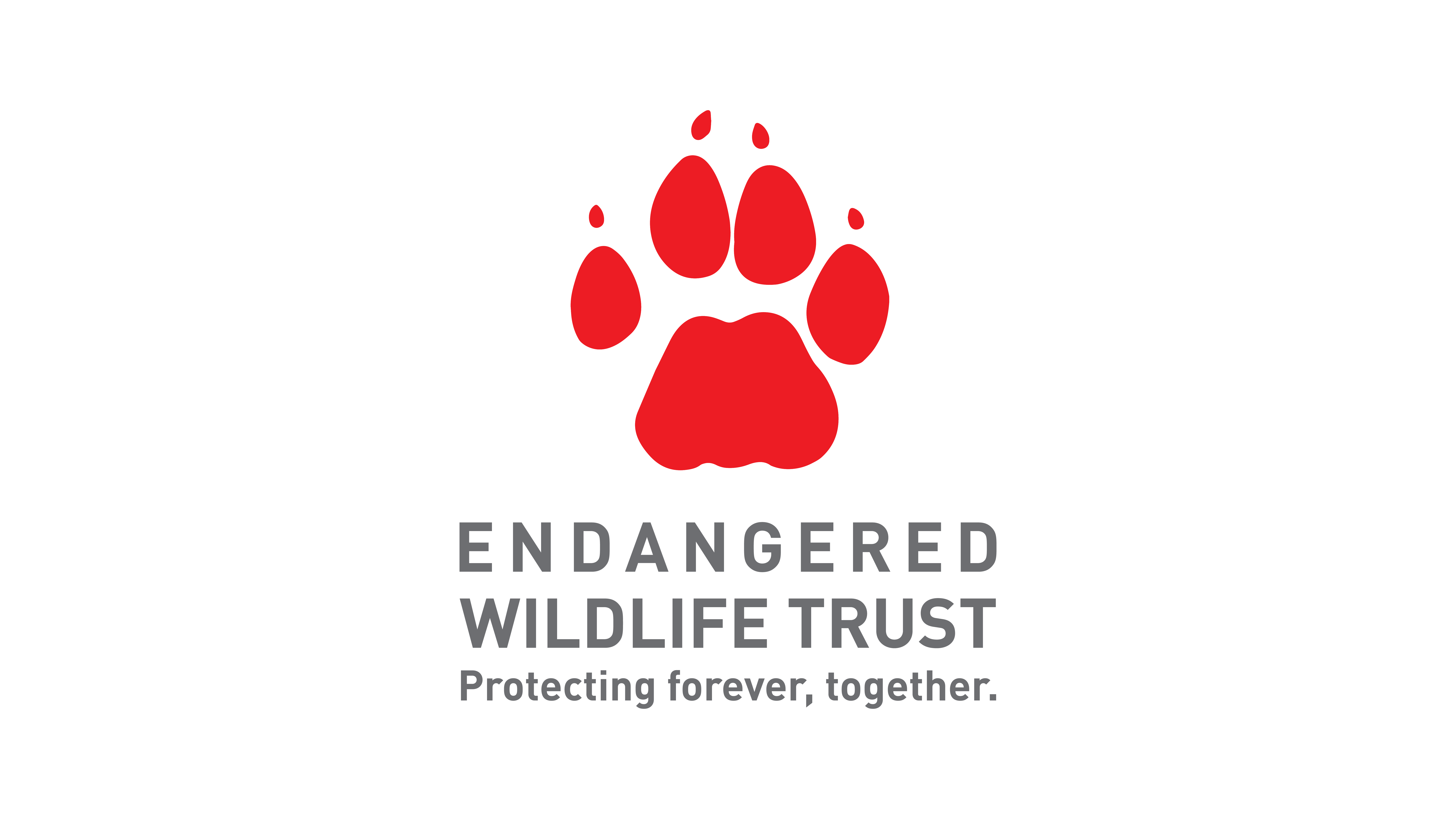 Organisations Fighting the Illegal Wildlife Trade - United for Wildlife