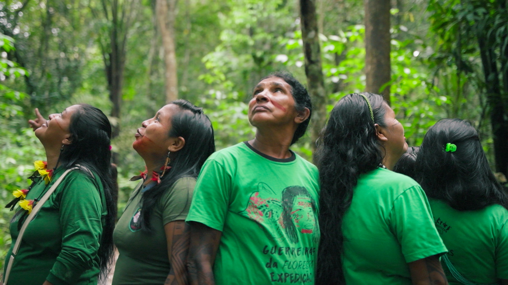 About United for Wildlife - United for Wildlife